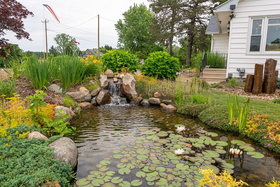 Explore the Features of the Harmony Pond Package