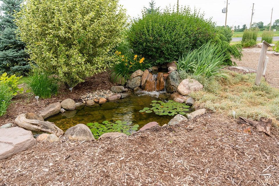 Explore the Features of the Harmony Pond Package