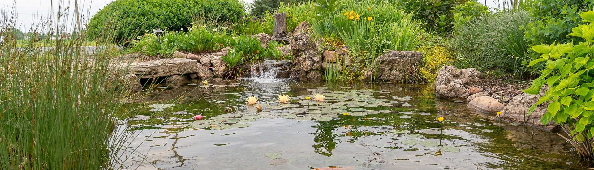 Take a Closer Look at Great Lakes Pondscapes’ Local Pond Designs