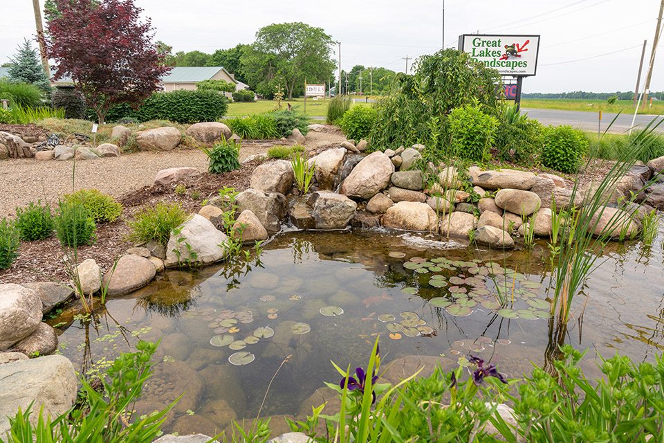 Explore the Features of the Wilderness Pond Package