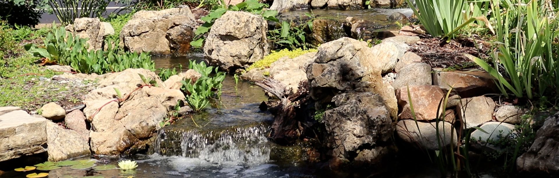 Michigan Pond Waterfalls